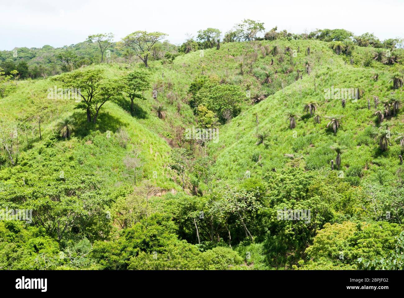 Rural honduras hi-res stock photography and images - Alamy