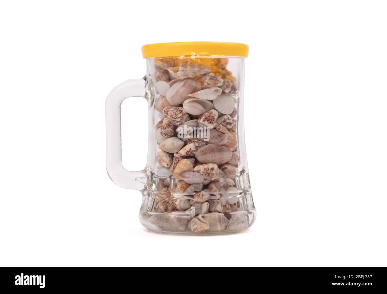 Scollop shell hi-res stock photography and images - Alamy