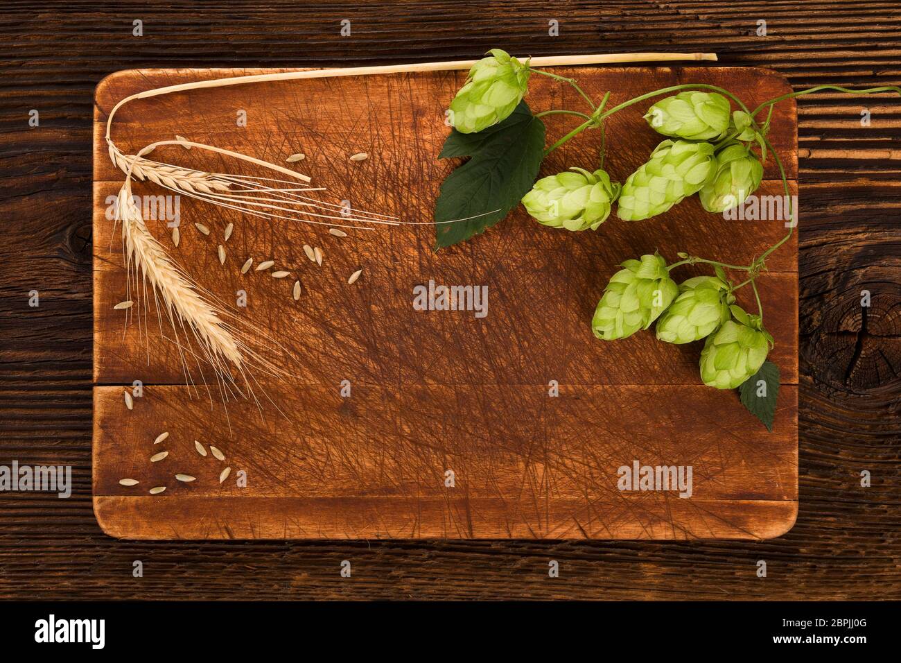 Fresh hop with barley grain and leaves on wooden background with ...