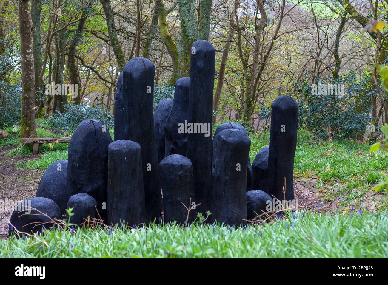 "Black Mound" by David Nash, RA.: powerful collection of charred oak ...