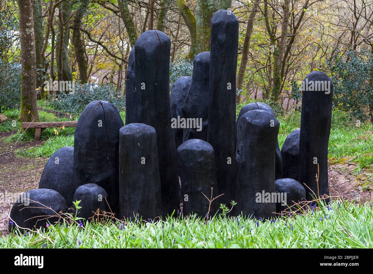 "Black Mound" by David Nash, RA.: powerful collection of charred oak ...
