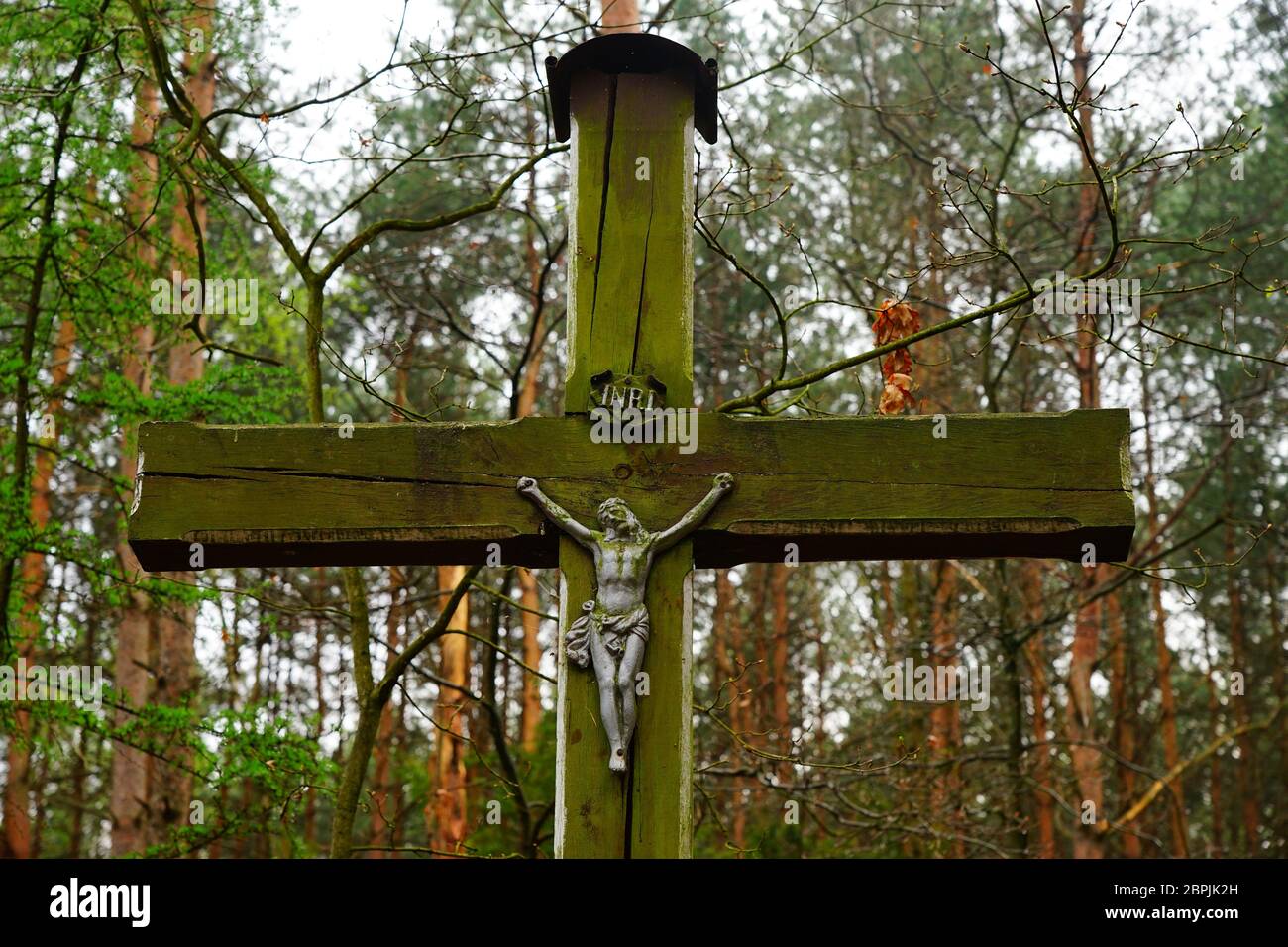 A wooden cross overgrown with moss displaying Jesus Christ in a forest ...
