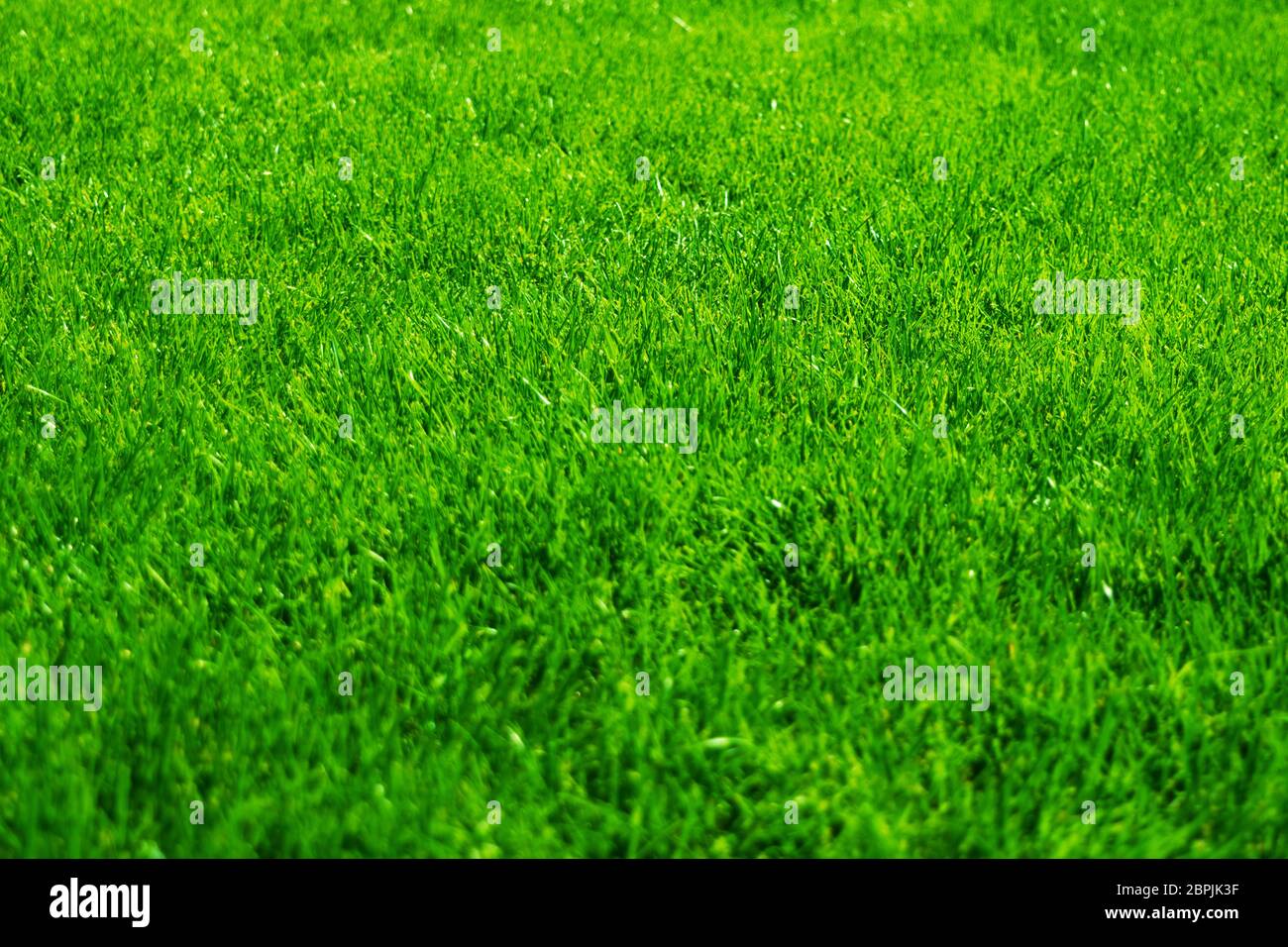 Lawn area hi-res stock photography and images - Alamy