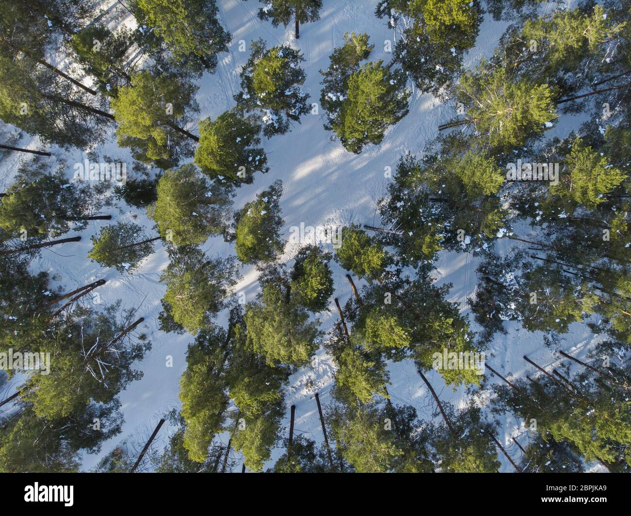 Siberian wilderness scene hi-res stock photography and images - Alamy
