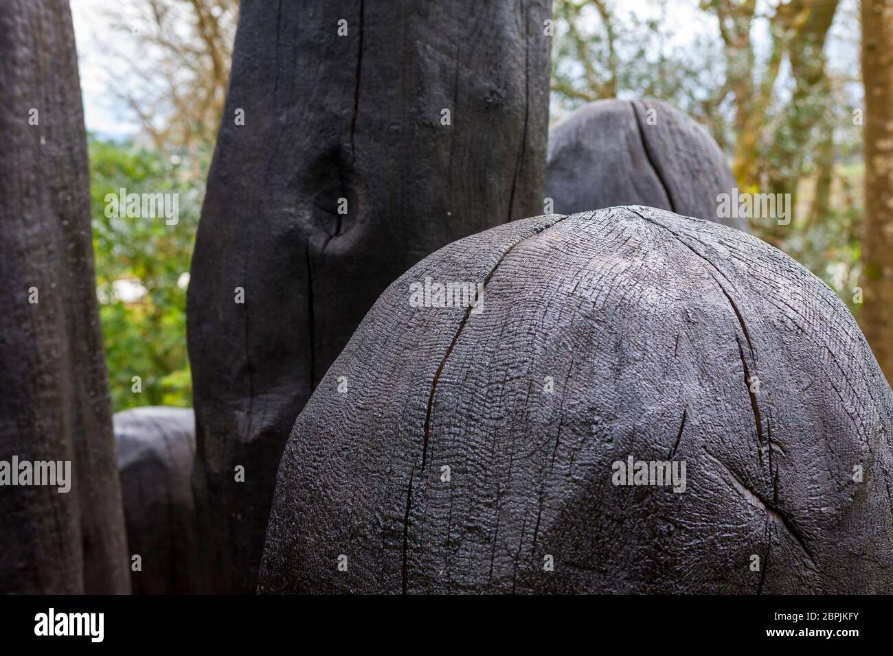 David nash hi-res stock photography and images - Alamy