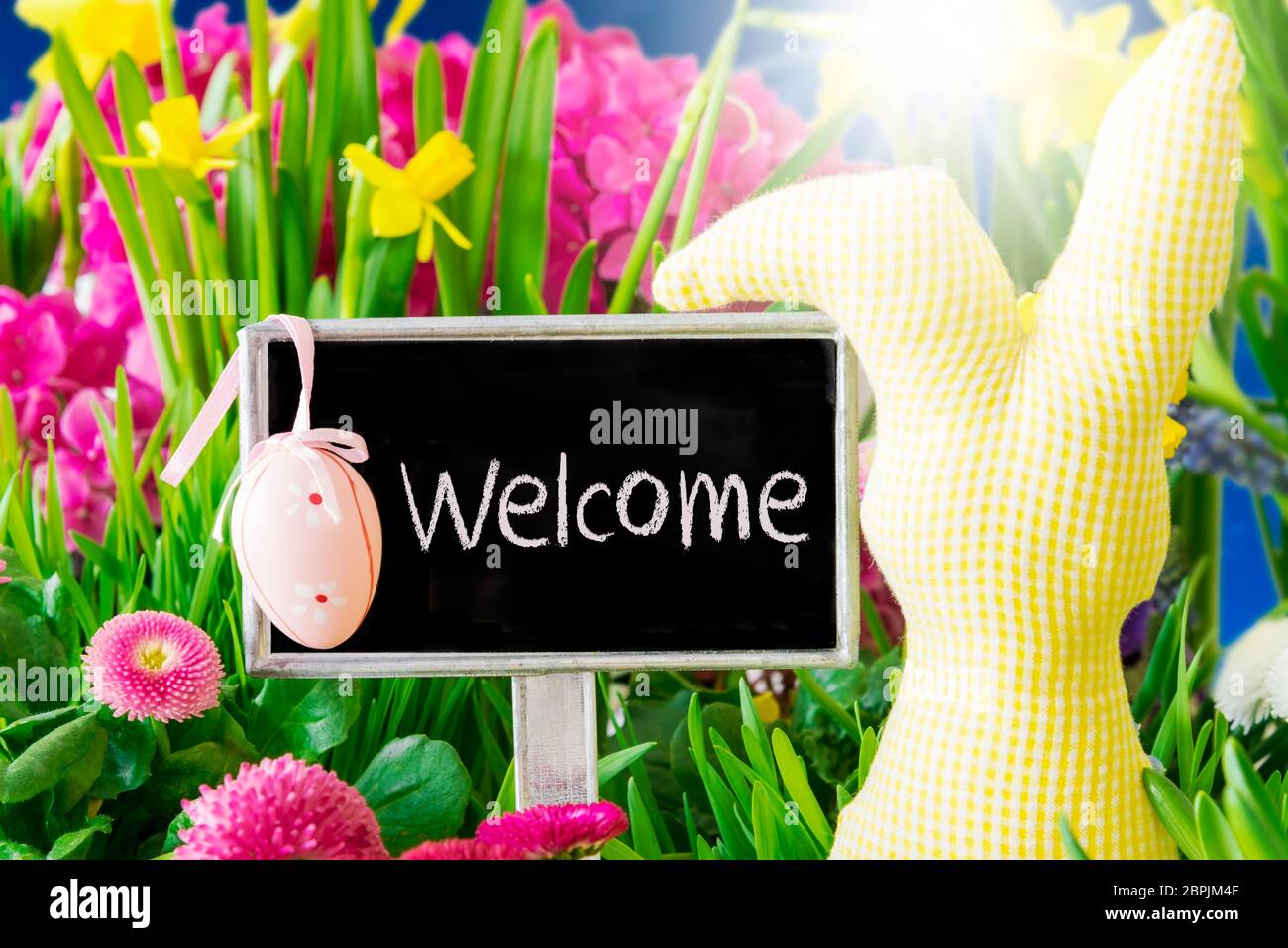 Sign With English Text Welcome. Sunny Spring Flowers Like Daisy And ...
