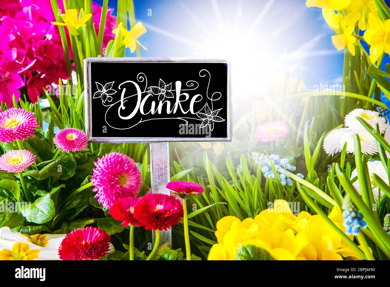 Sign With German Callligraphy Danke Means Thank You. Sunny Spring ...