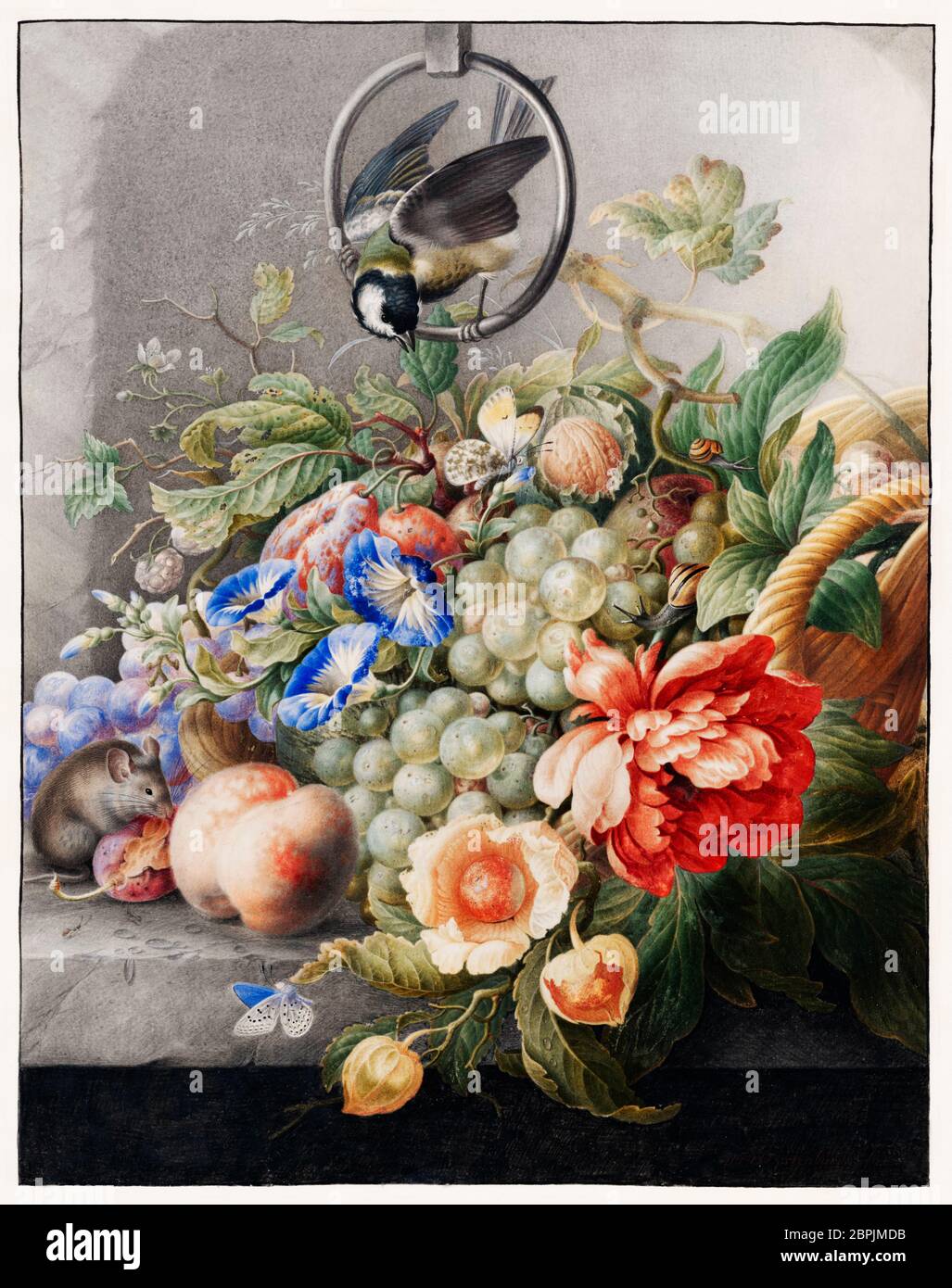 Flowers and fruits by Herman Henstenburgh (c.1700-c.1710). Original ...
