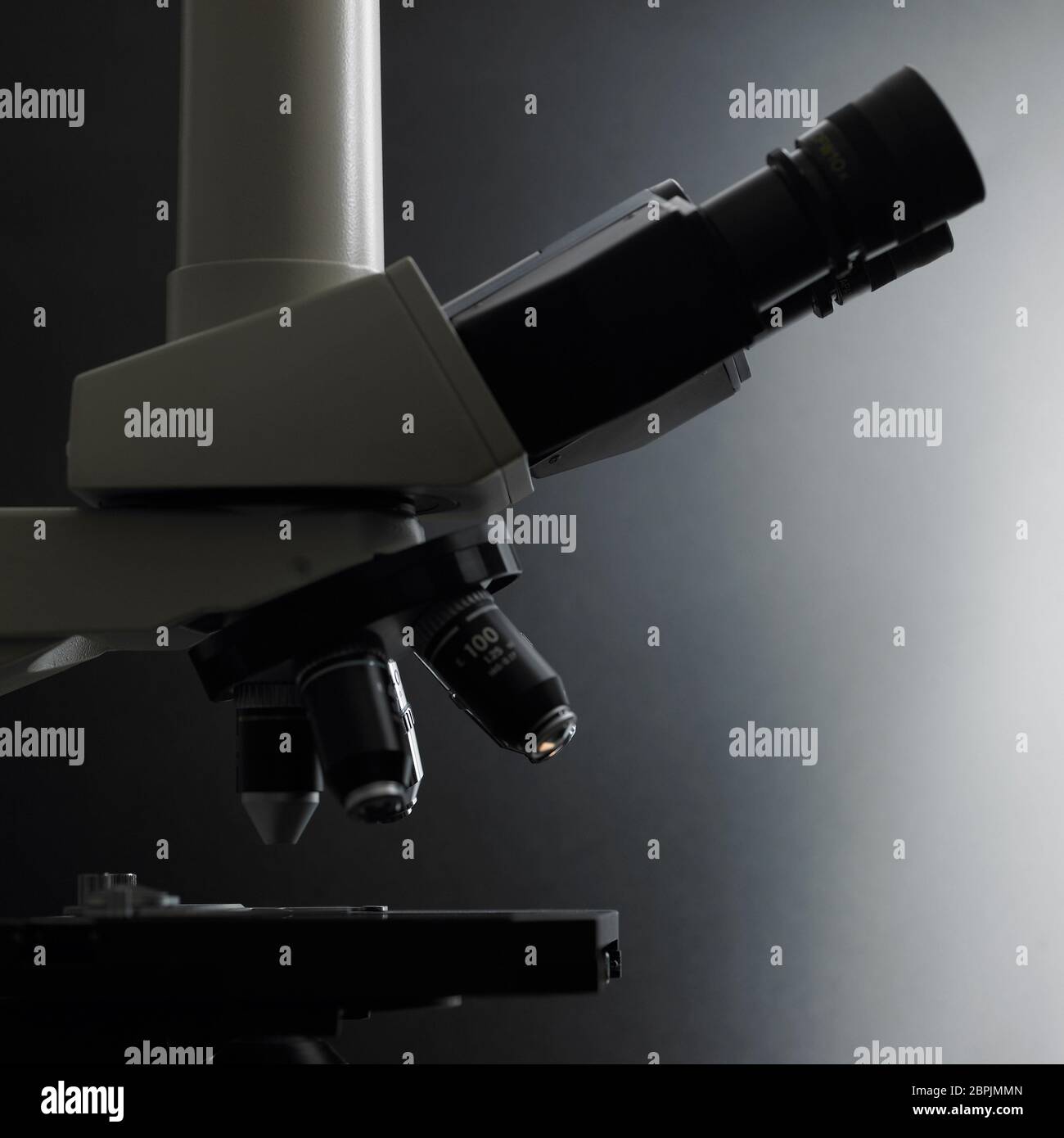 Microscope Stage High Resolution Stock Photography and Images - Alamy