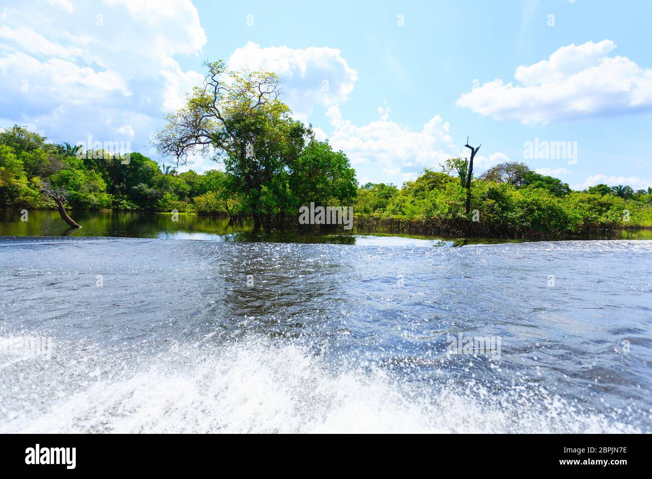 Panorama from Amazon rainforest, Brazilian wetland region. Navigable ...