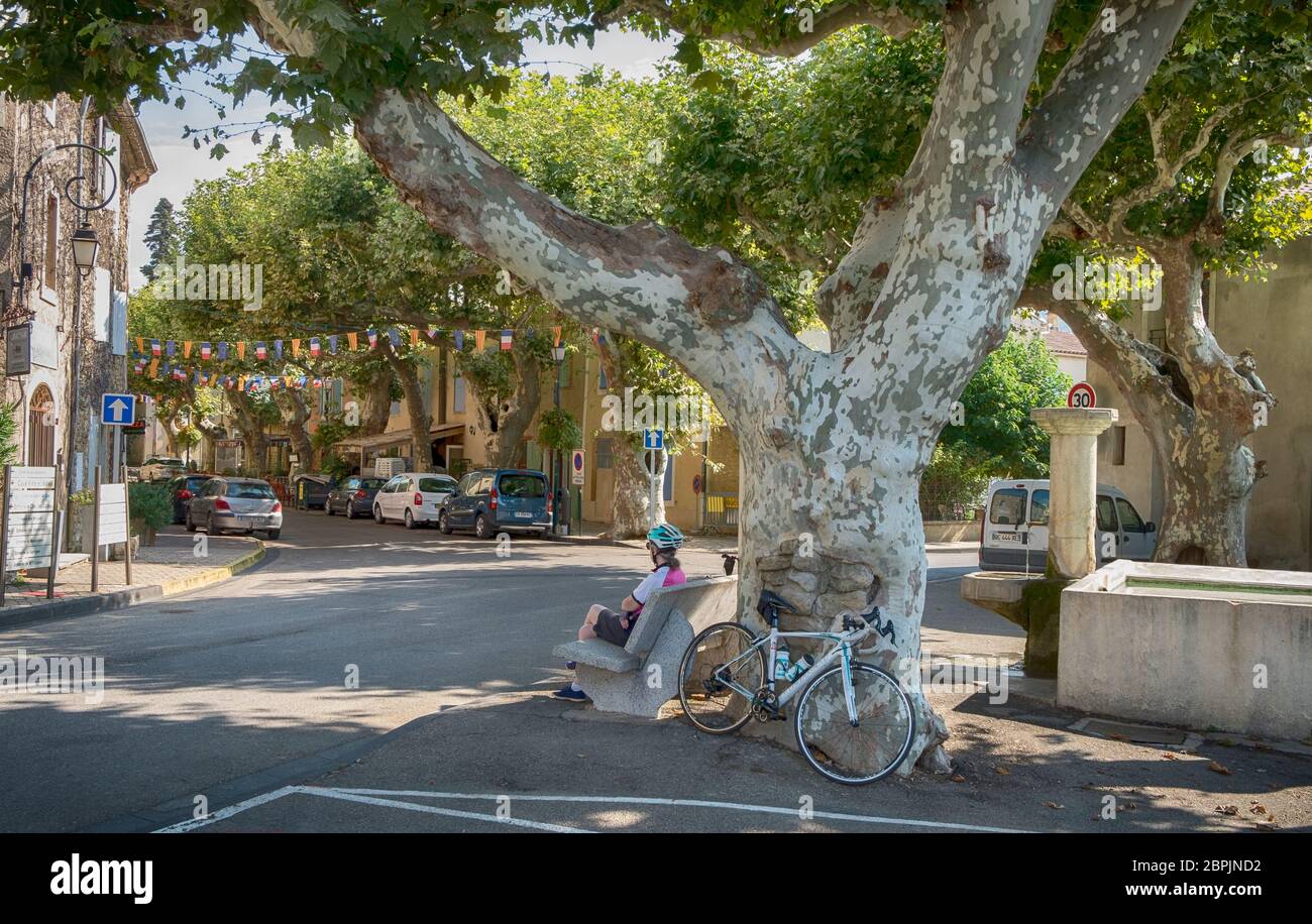 Plane trees provence hi-res stock photography and images - Alamy