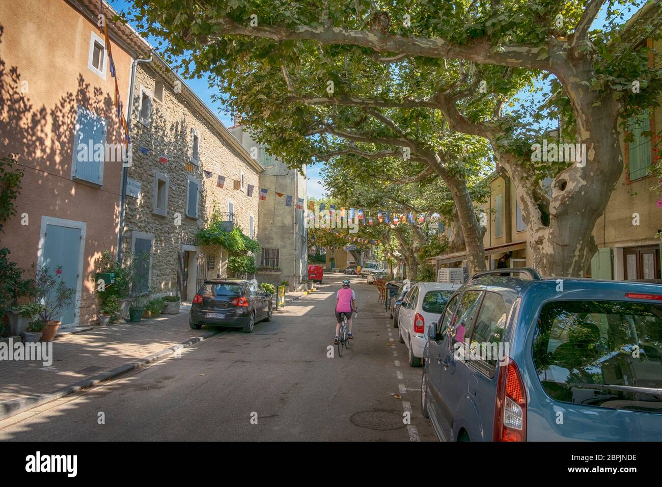 Plane trees provence hi-res stock photography and images - Alamy