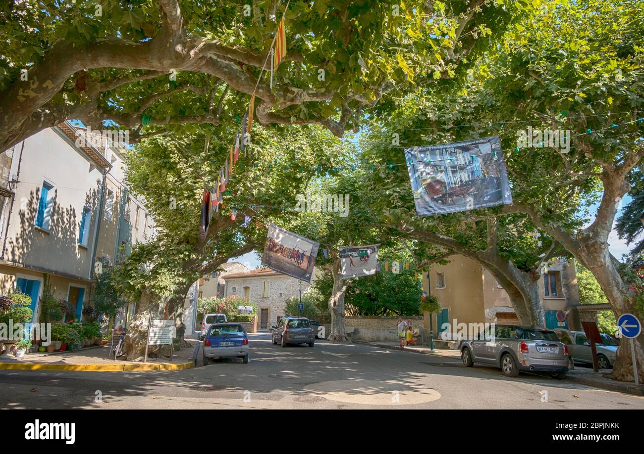 Plane trees provence hi-res stock photography and images - Alamy