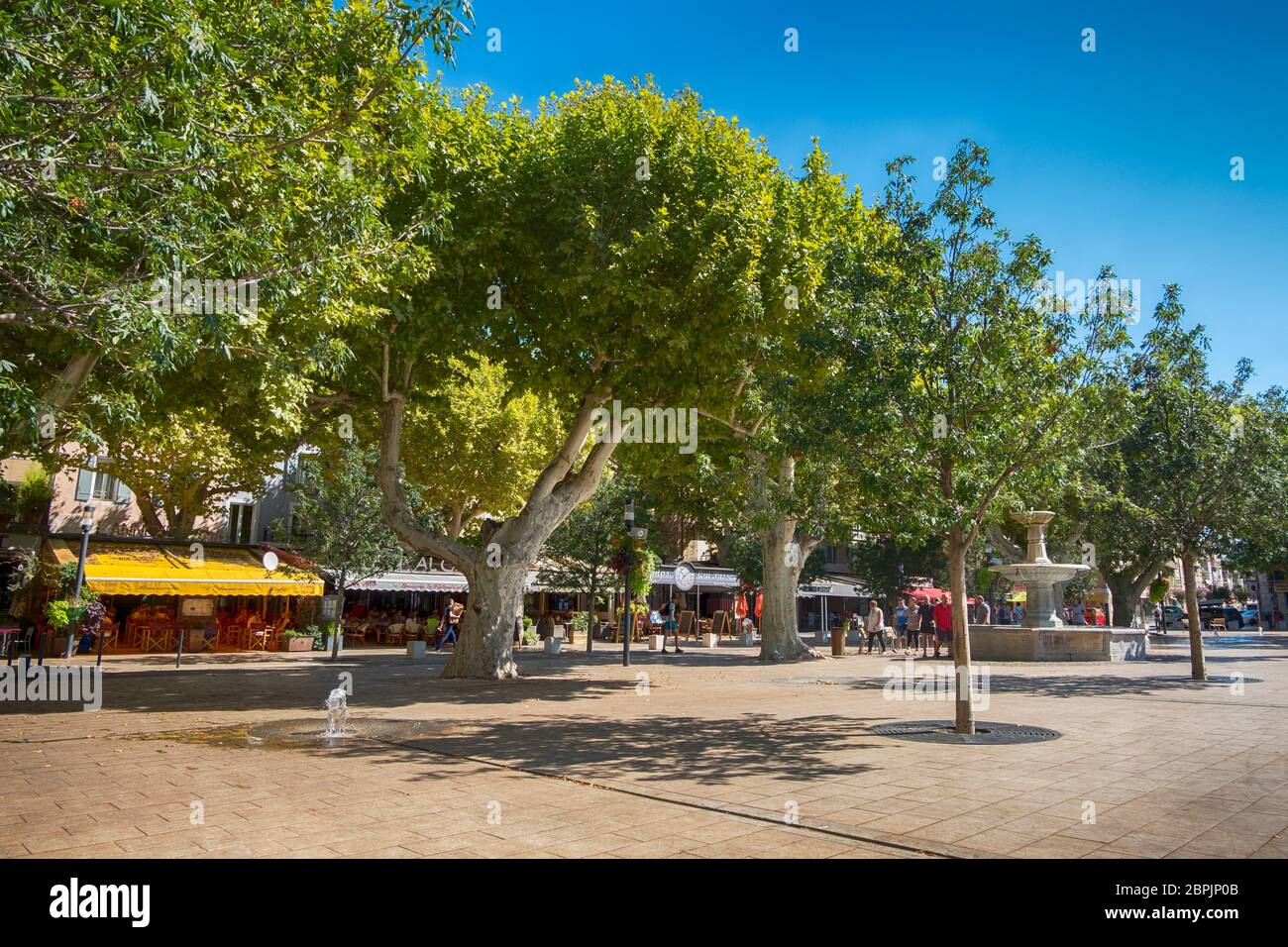 Plane trees provence hi-res stock photography and images - Alamy
