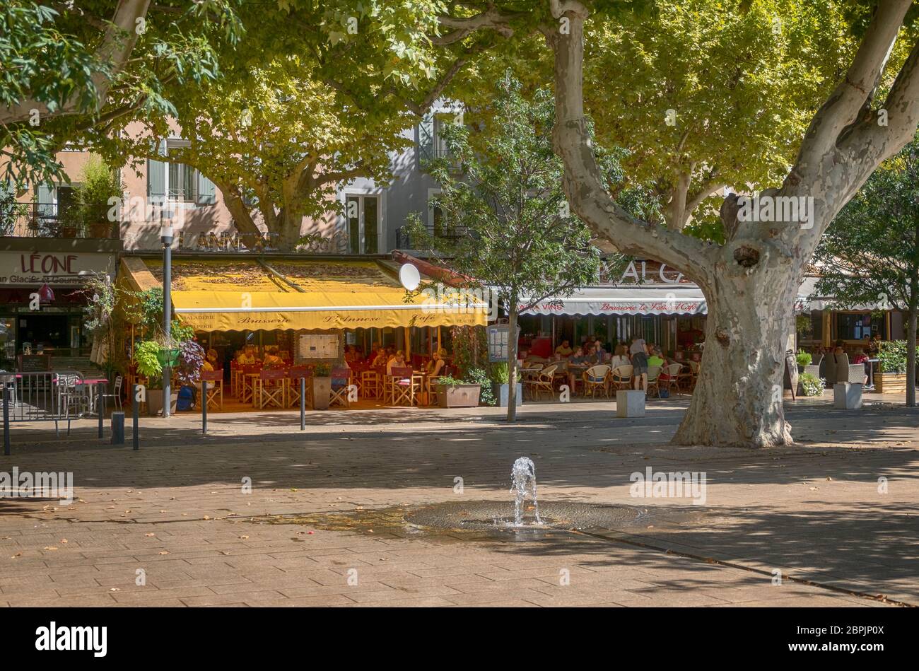 Plane trees in provence hi-res stock photography and images - Alamy