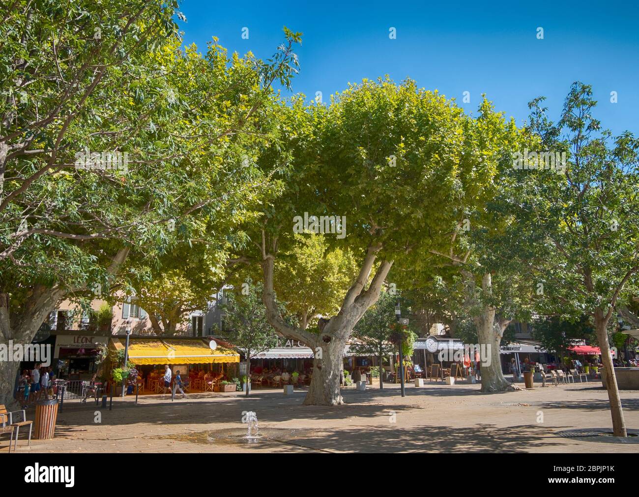 Plane trees provence hi-res stock photography and images - Alamy
