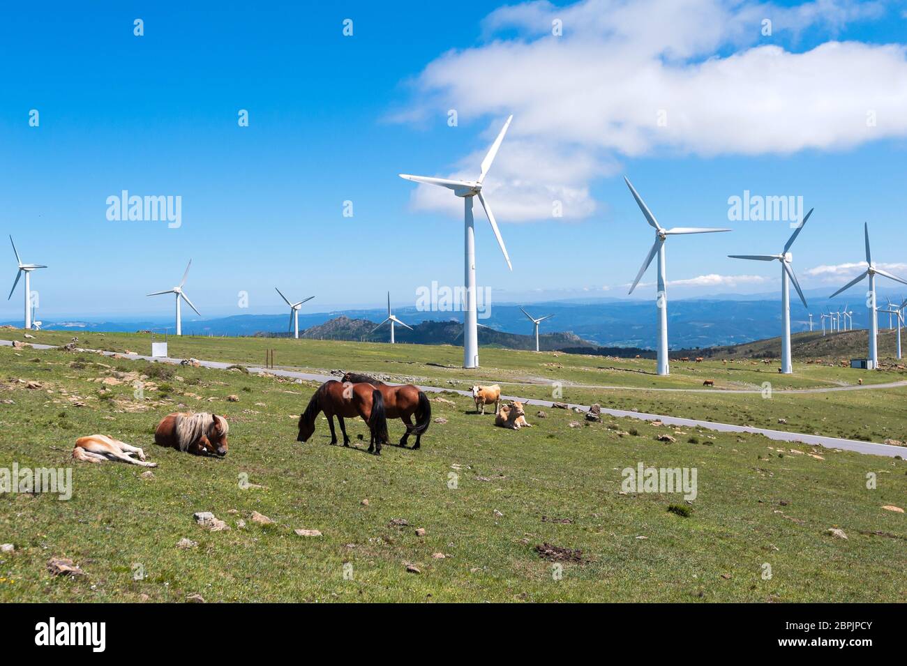 Horse wind turbine hi-res stock photography and images - Alamy