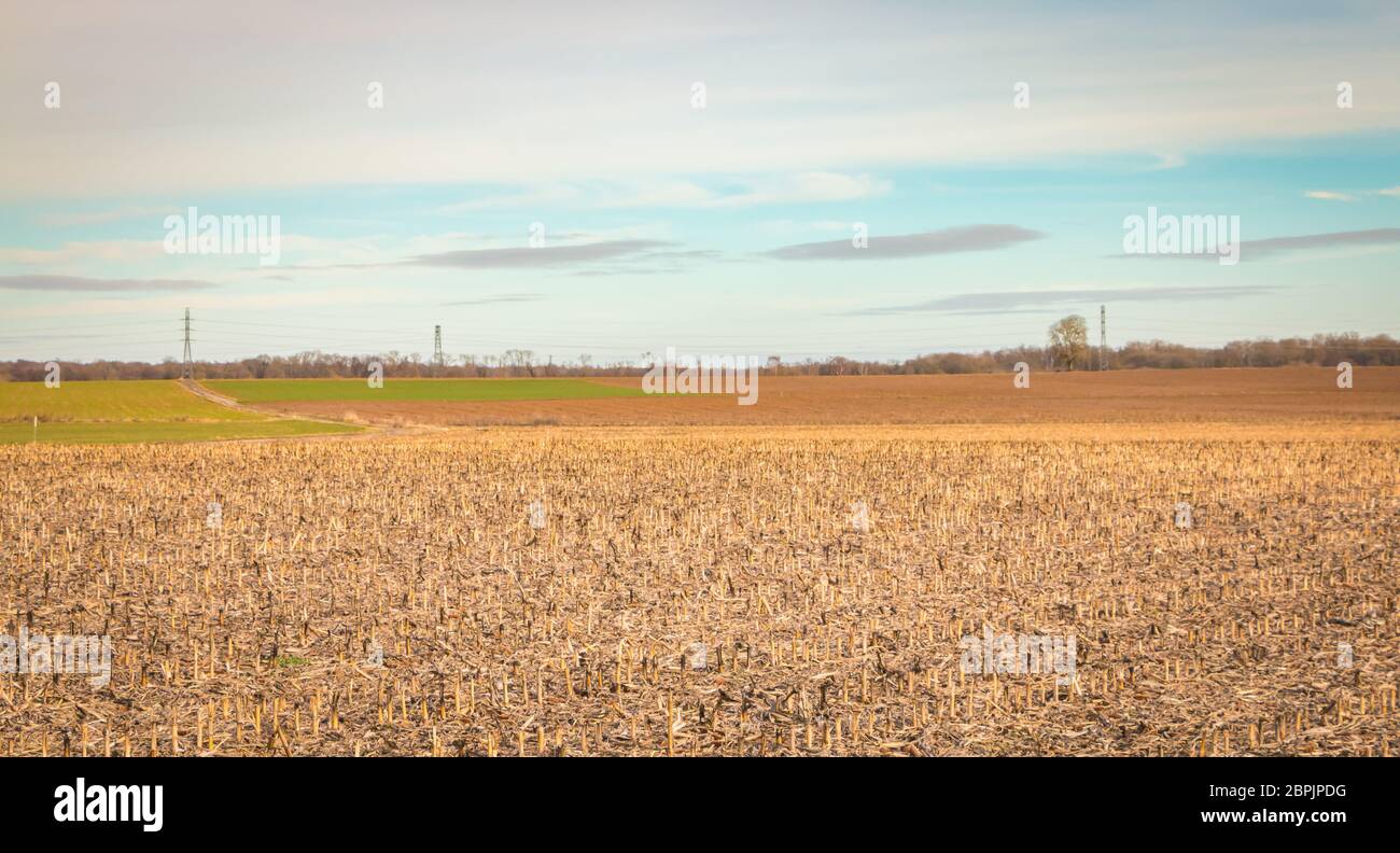 Alsace vineyard winter hi-res stock photography and images - Alamy