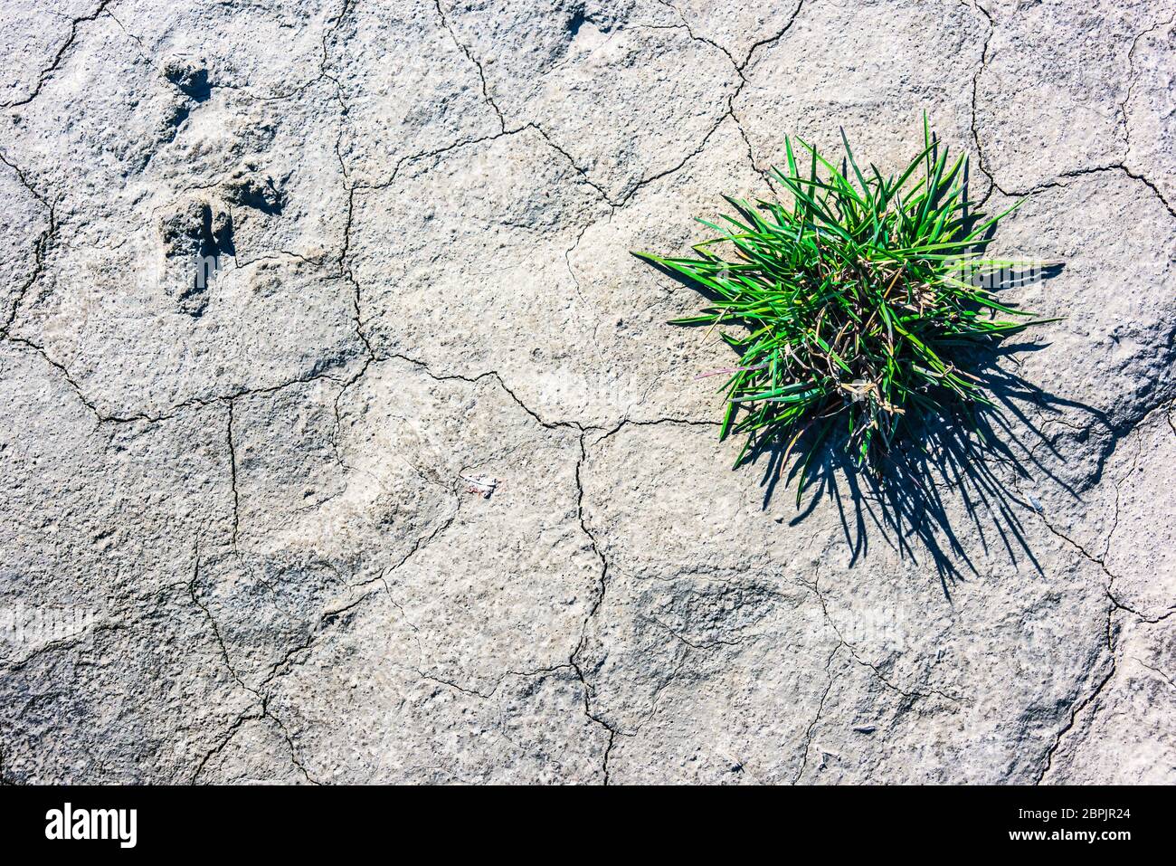 Dry soil in the time of drought. Precipitation deficiency Stock Photo ...
