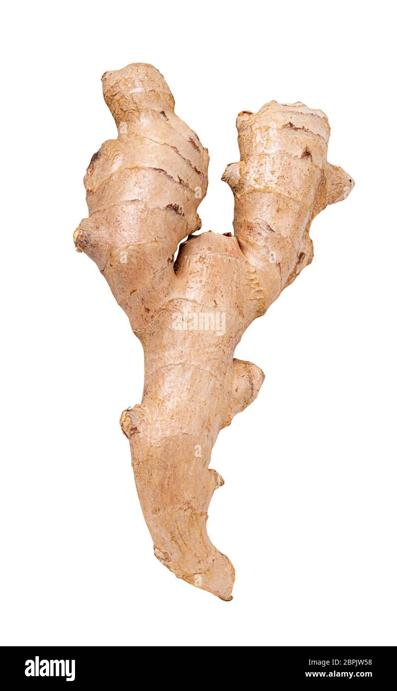 Ginger isolated on white background Stock Photo - Alamy