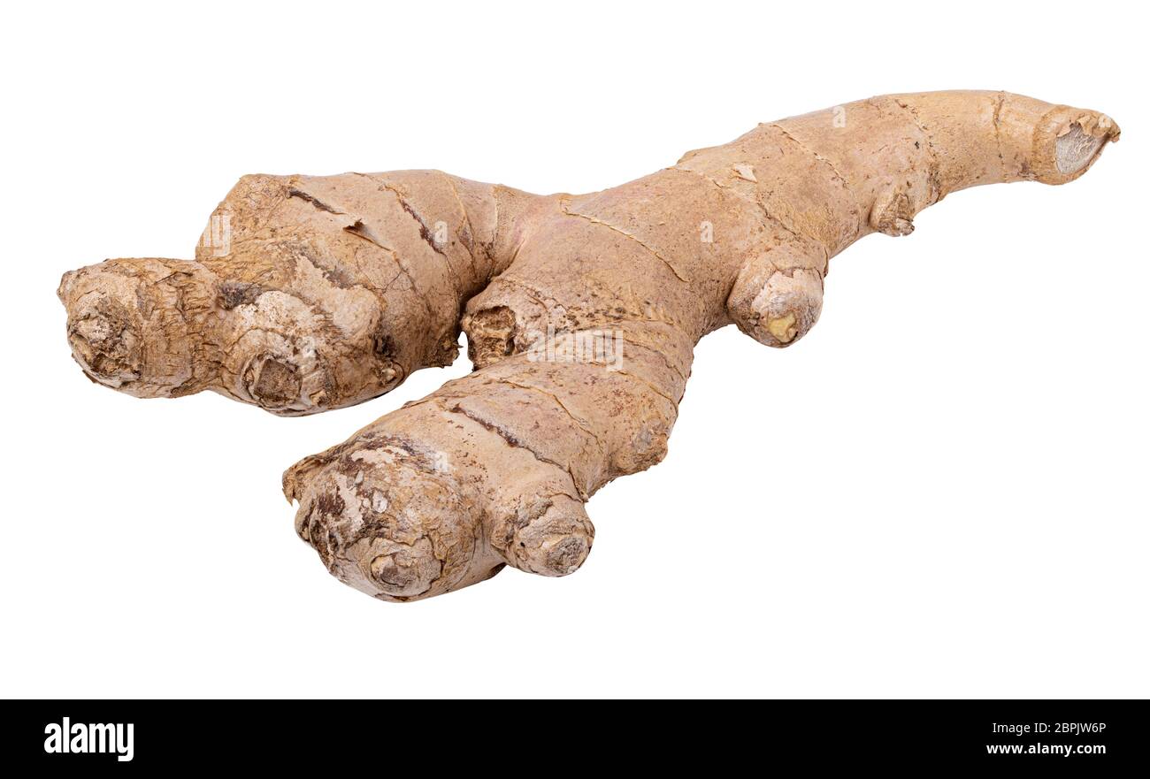 Sliced ginger root macro Cut Out Stock Images & Pictures - Alamy