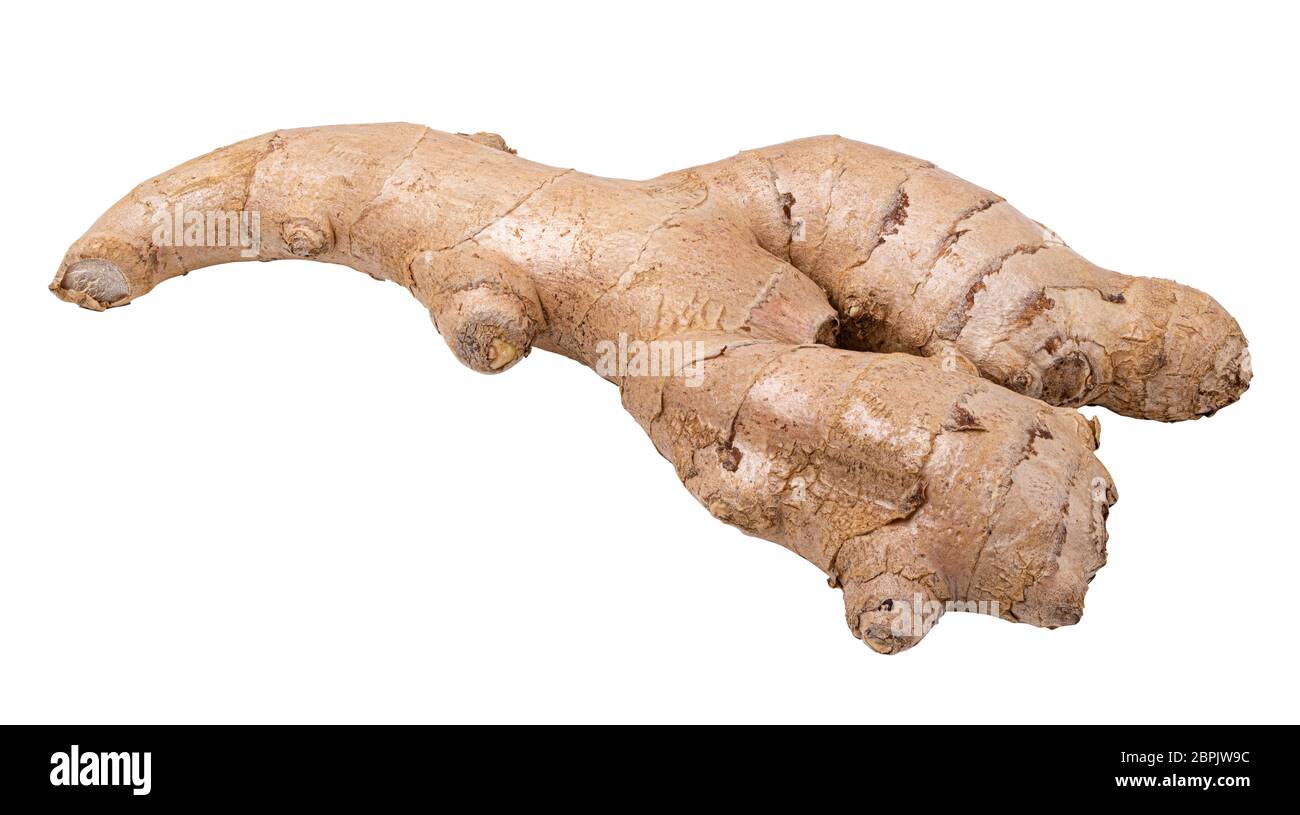 Ginger isolated on white background Stock Photo - Alamy