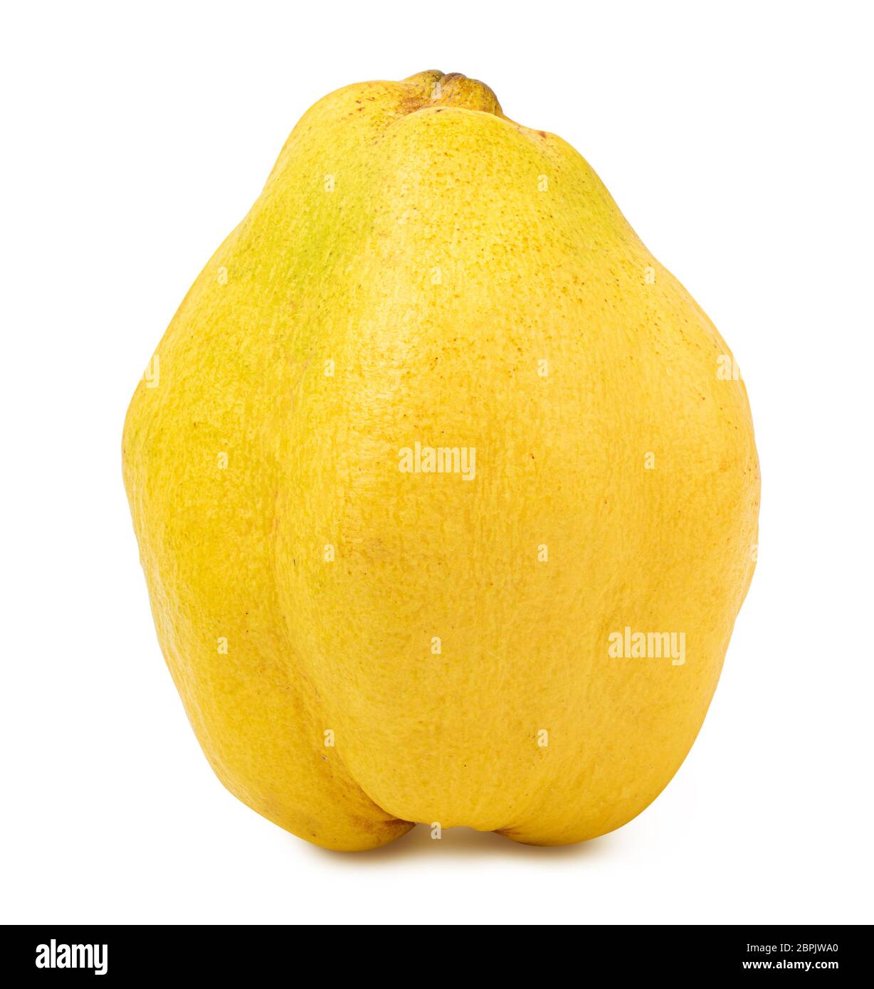Fresh quince isolated on white background Stock Photo - Alamy