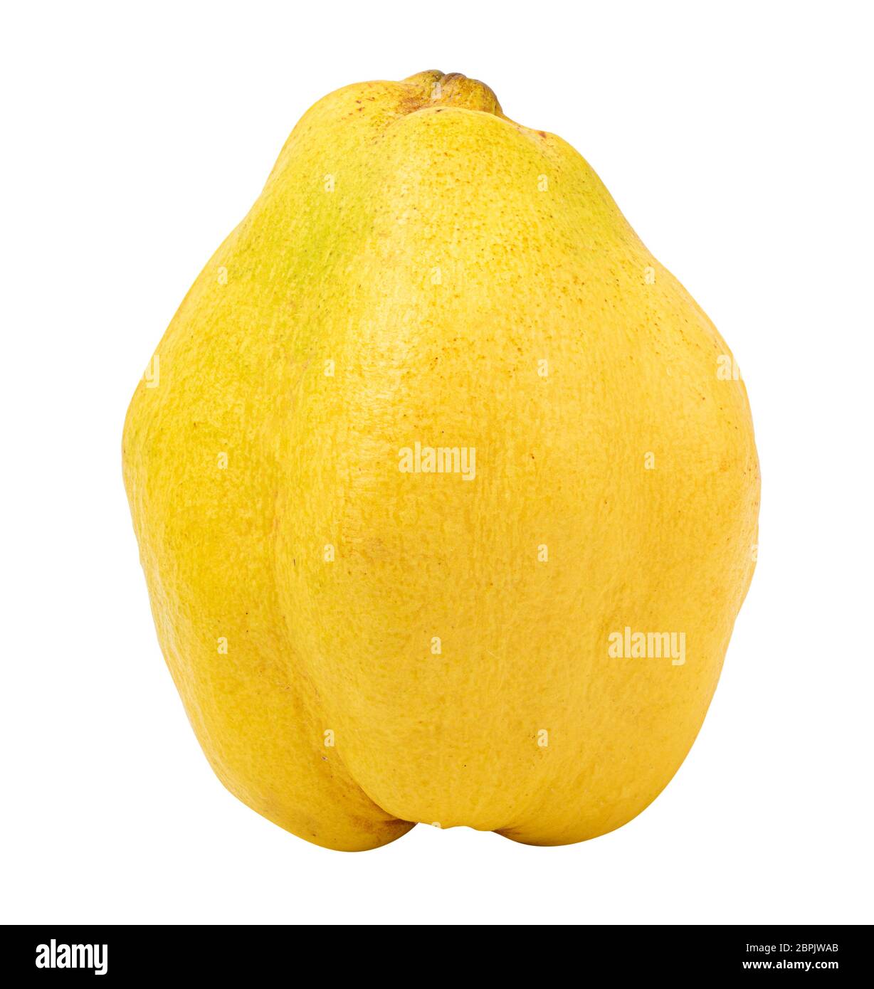 Quince top view Cut Out Stock Images & Pictures - Alamy