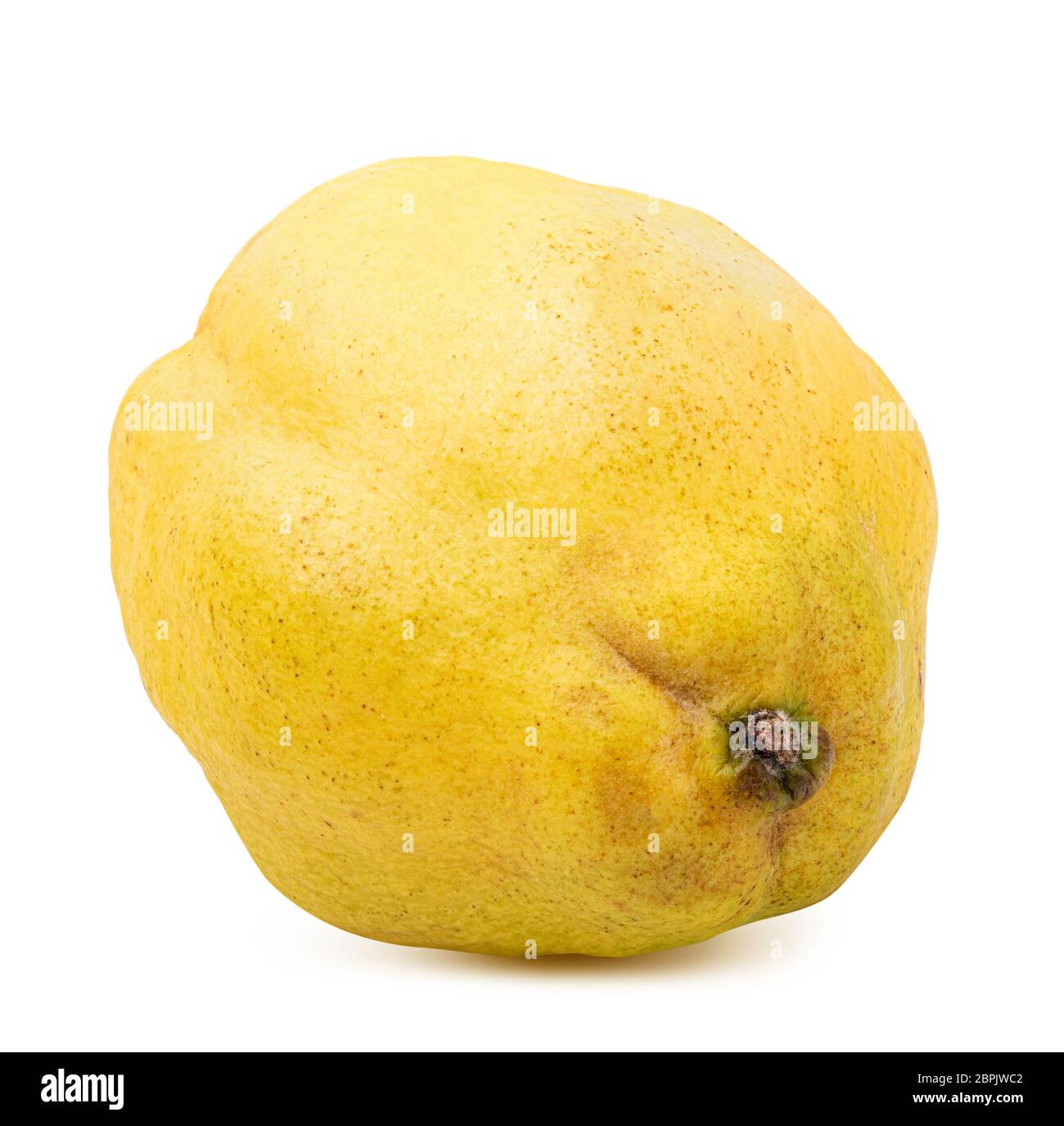 Quince top view Cut Out Stock Images & Pictures - Alamy