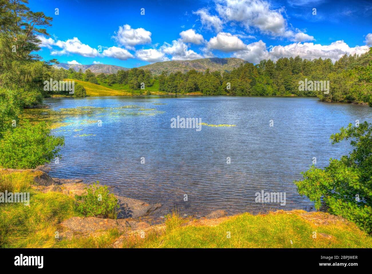 Tarn Hows Lake District National Park England uk near Hawkshead with ...