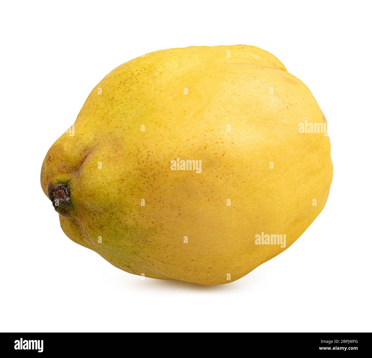 Quince top view Cut Out Stock Images & Pictures - Alamy