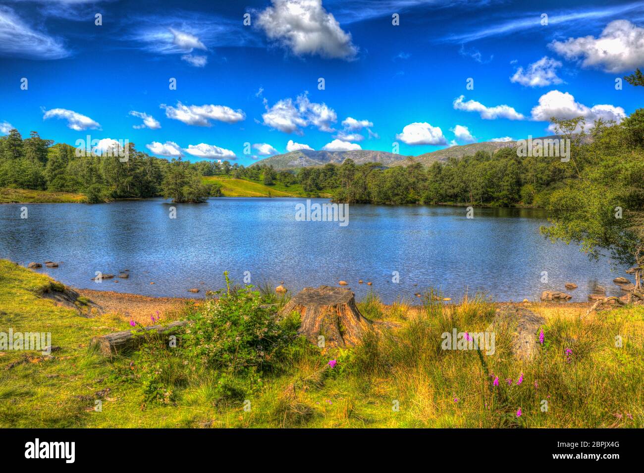 Tarn hows lake district national park hi-res stock photography and ...