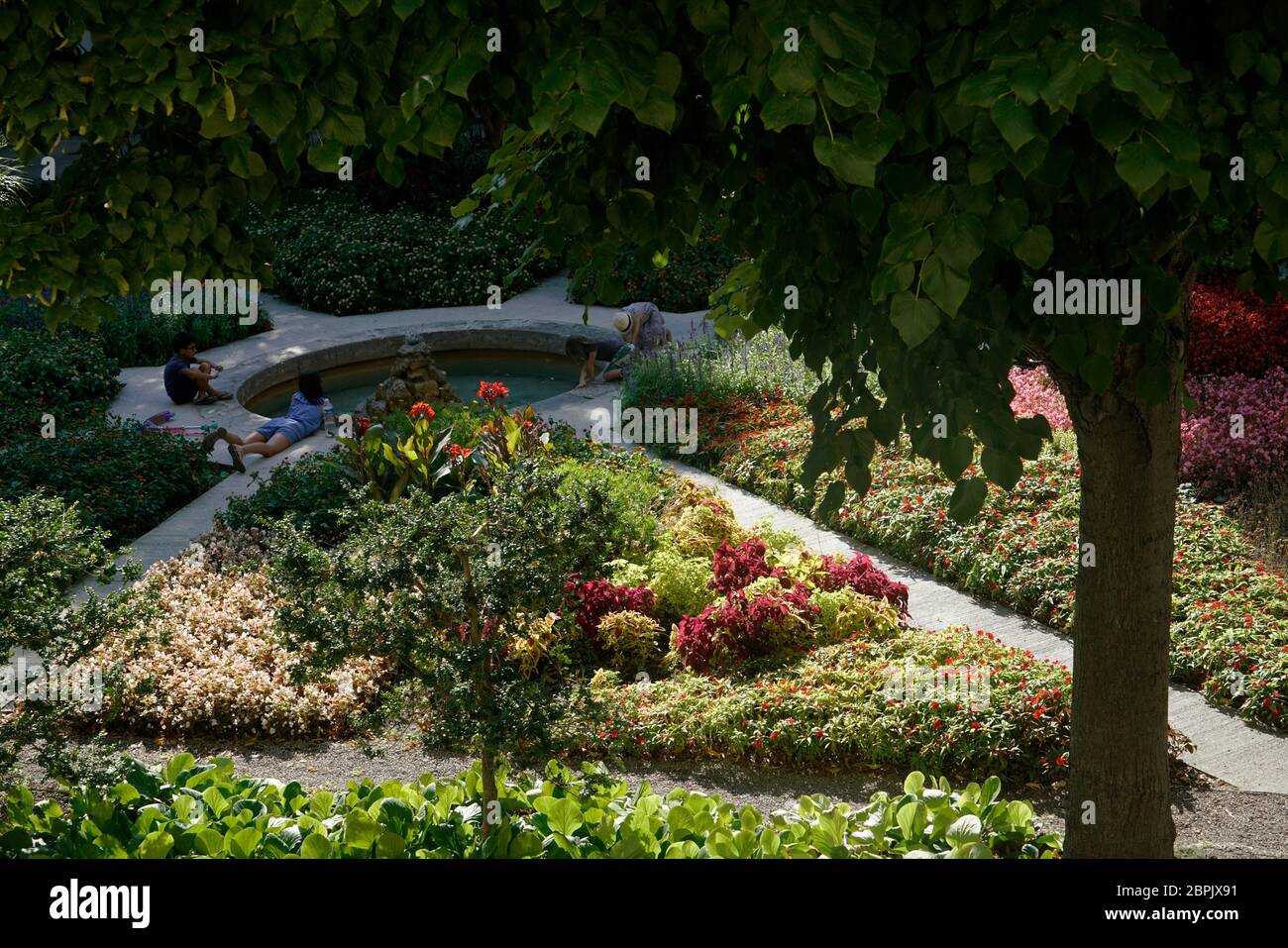 Van gogh arles garden hi-res stock photography and images - Alamy