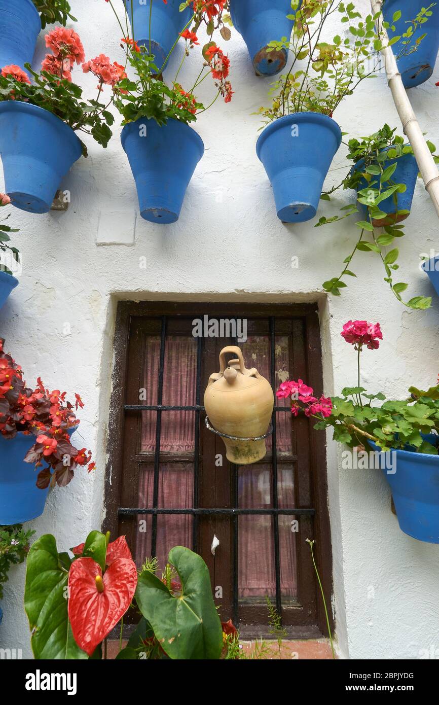 typical Andalusian patio with blue pots in Córdoba, Andalusia. Spain ...