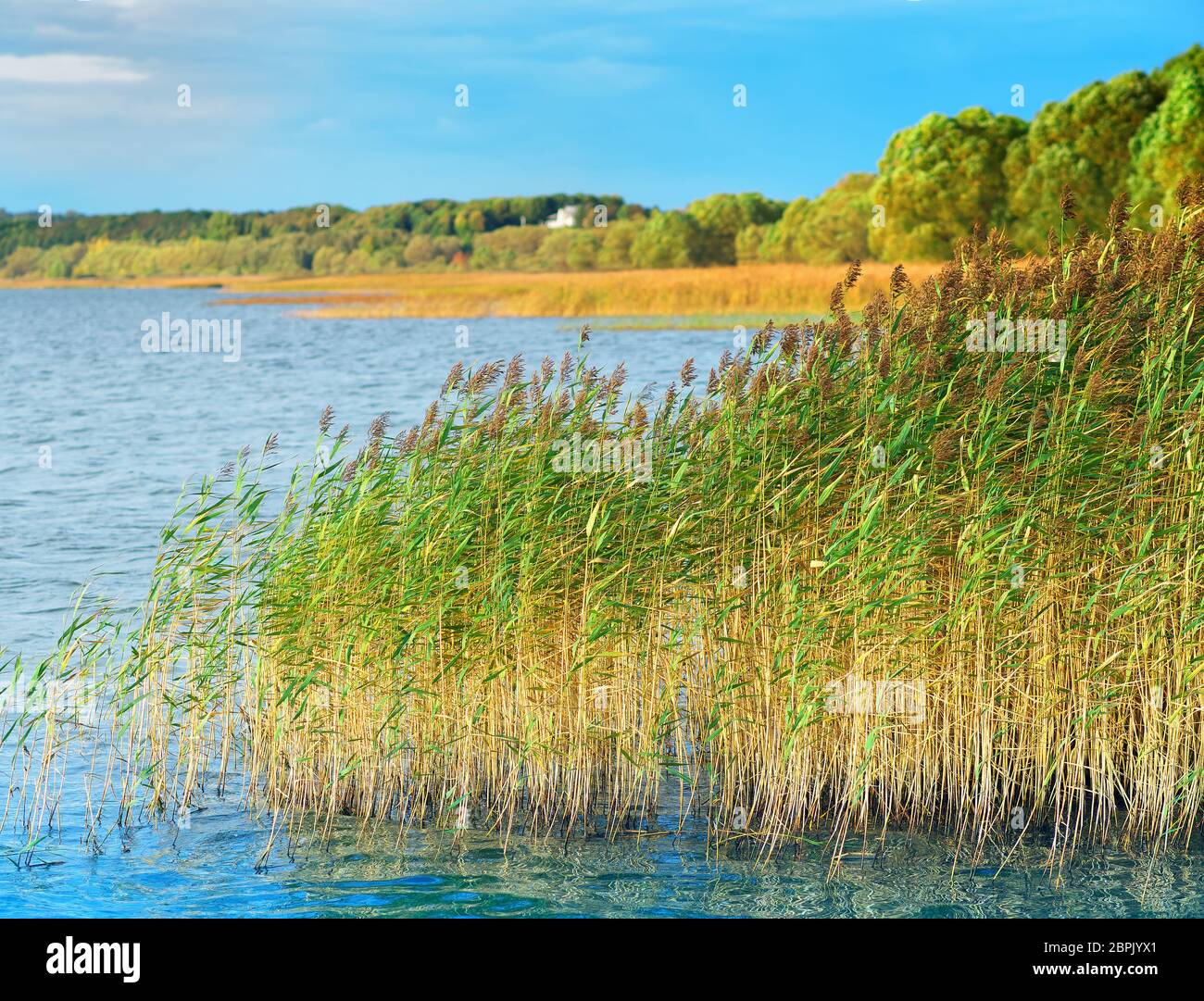 Backwater concept hi-res stock photography and images - Alamy