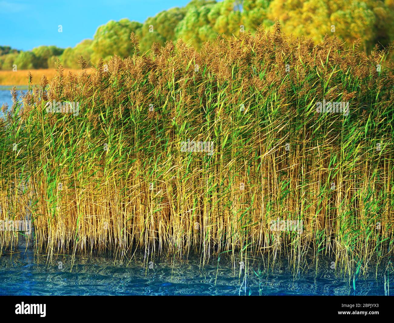 Backwater sunset hi-res stock photography and images - Alamy