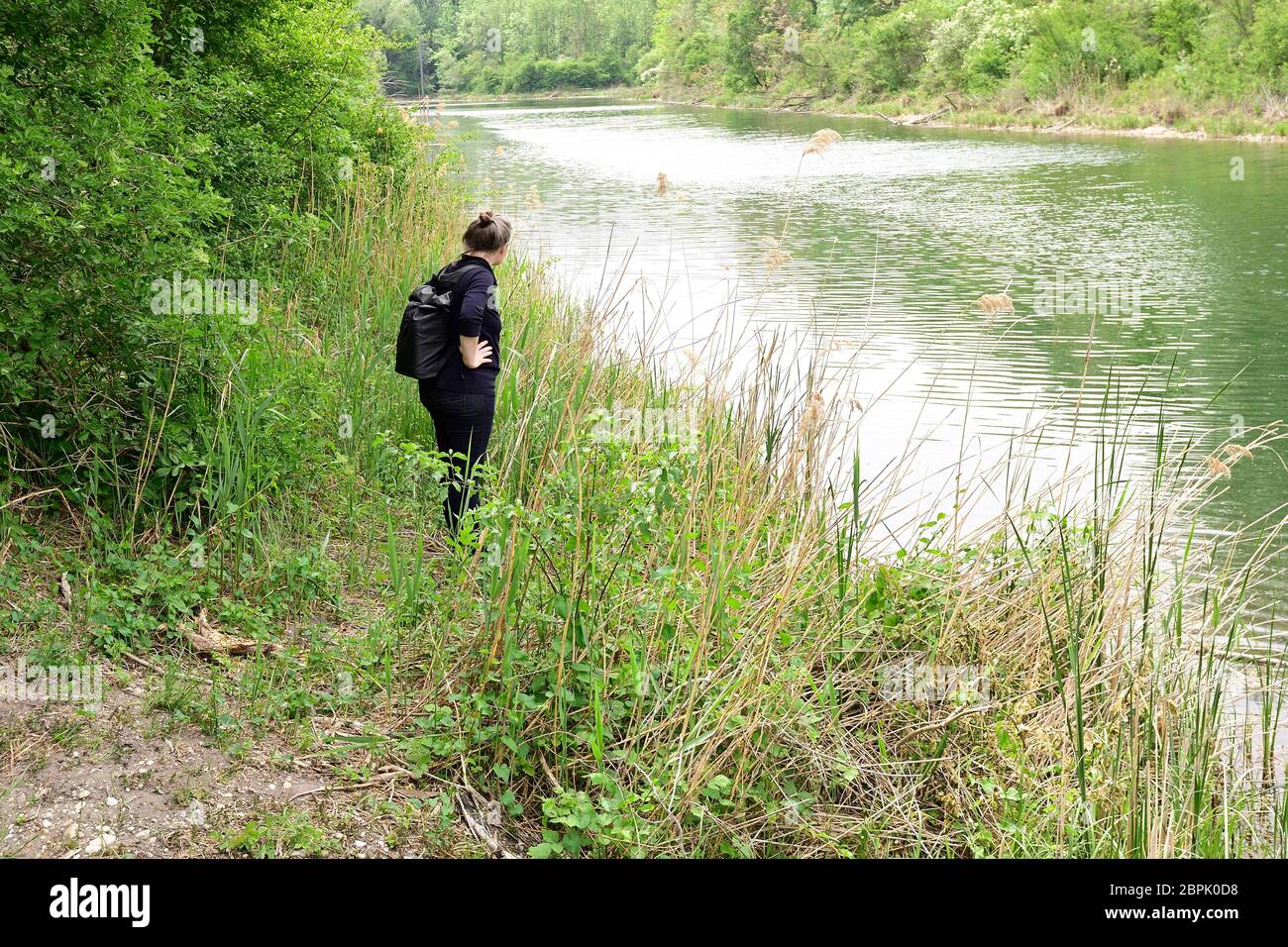 Austria, Lower Austria. Nationalpark Donau-Auen, the Lobau Stock Photo ...