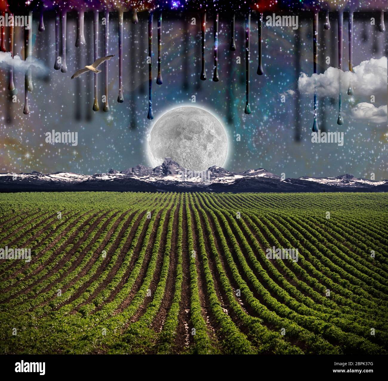 Surrealism. Field with green rows. Giant moon rises over the mountains ...
