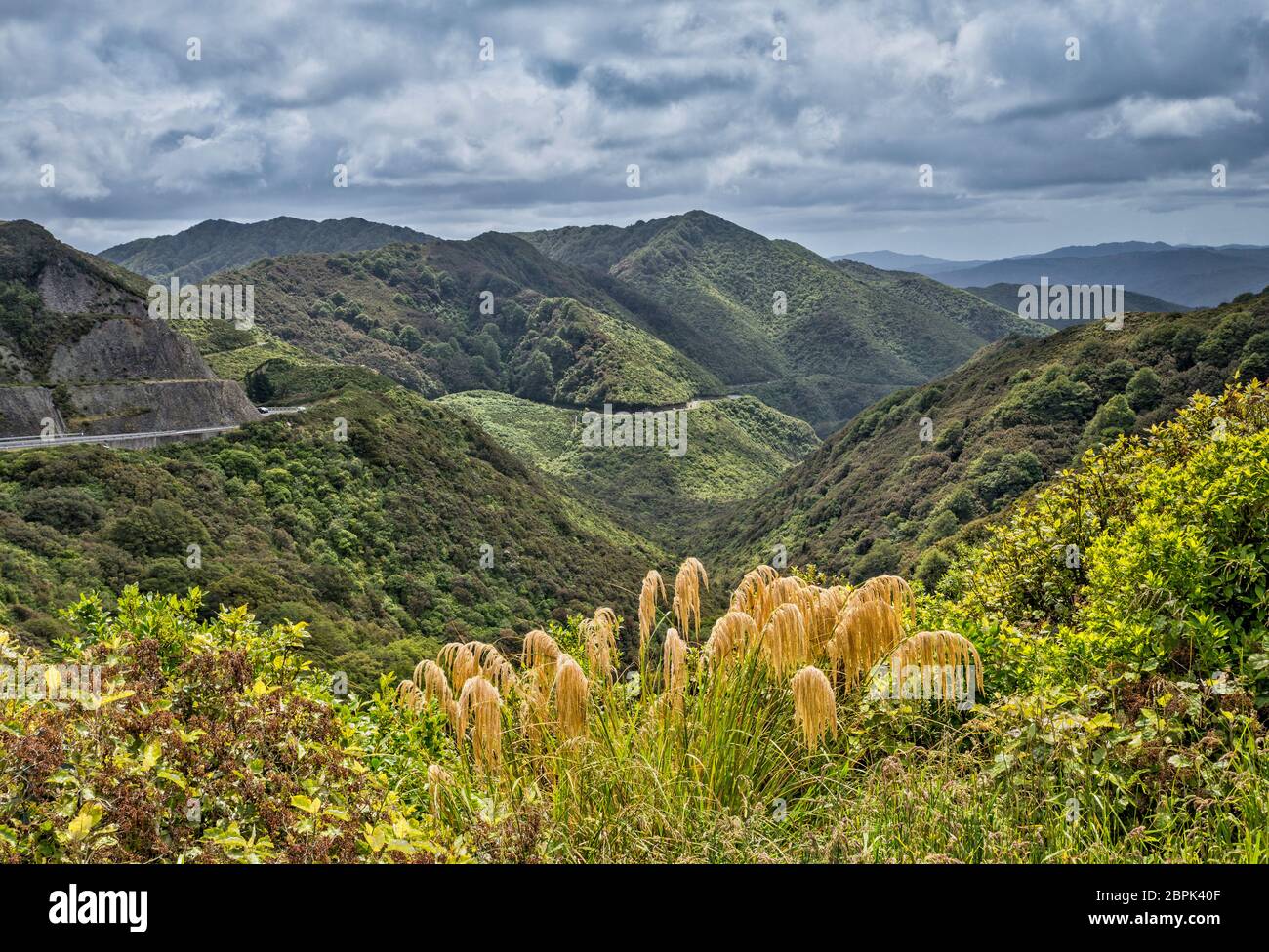 Remutaka summit hi-res stock photography and images - Alamy