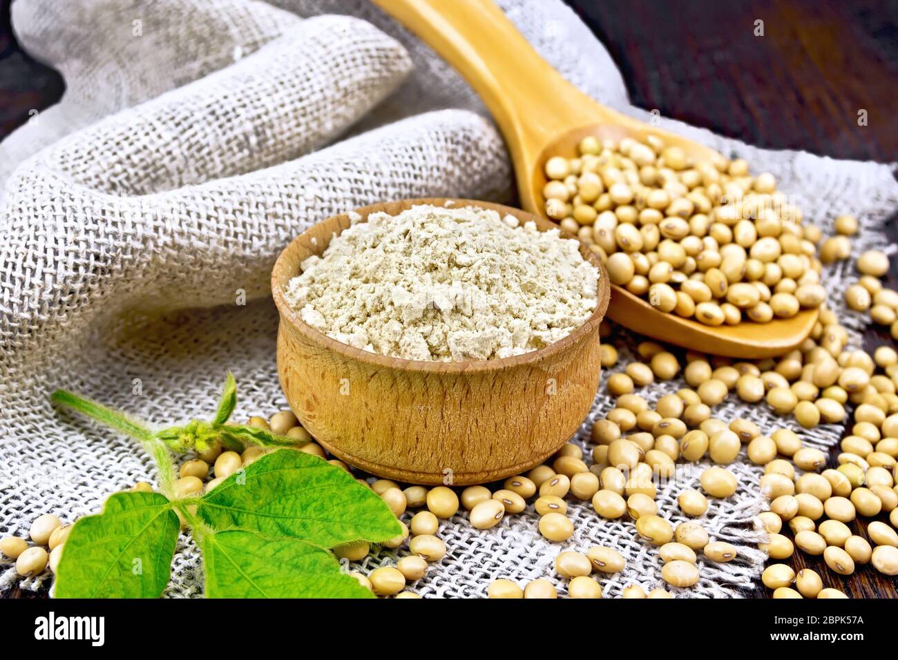 Soy flour in the bowl, soybeans in a spoon and on sackcloth, green soya ...