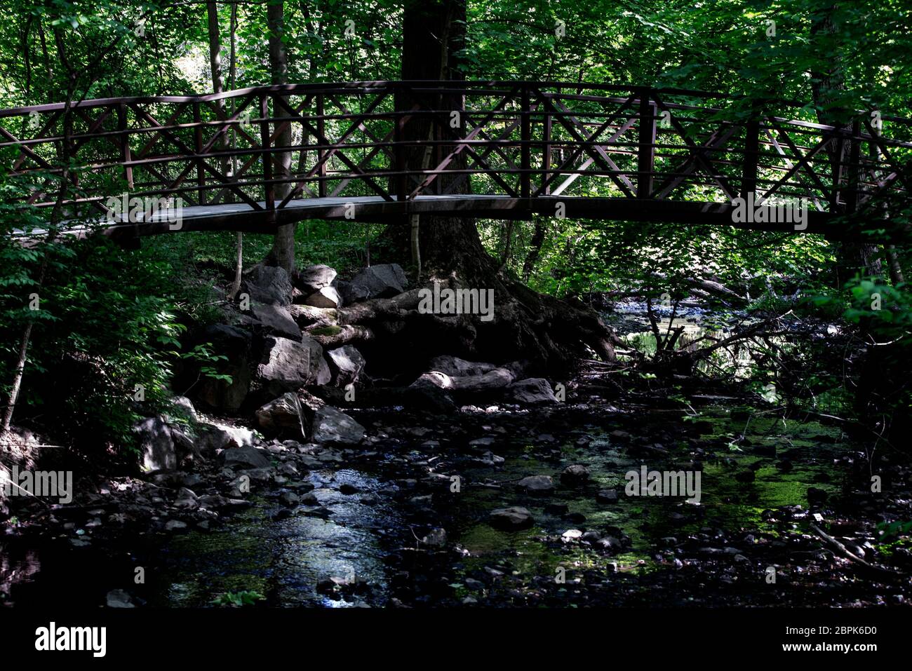 Stream under hi-res stock photography and images - Alamy