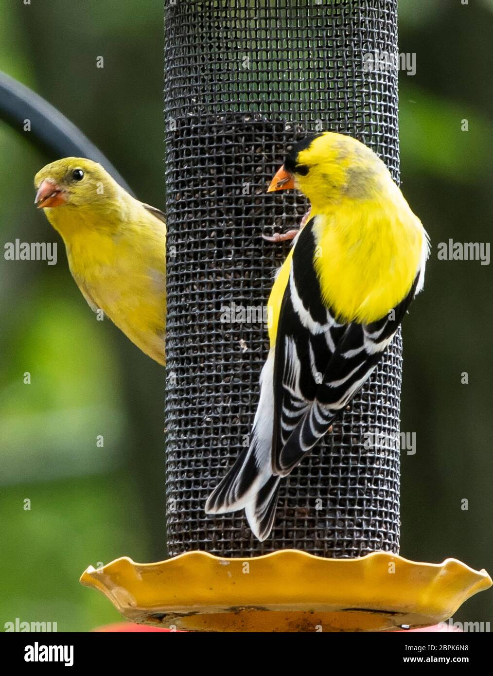 Looking around the corner hi-res stock photography and images - Alamy