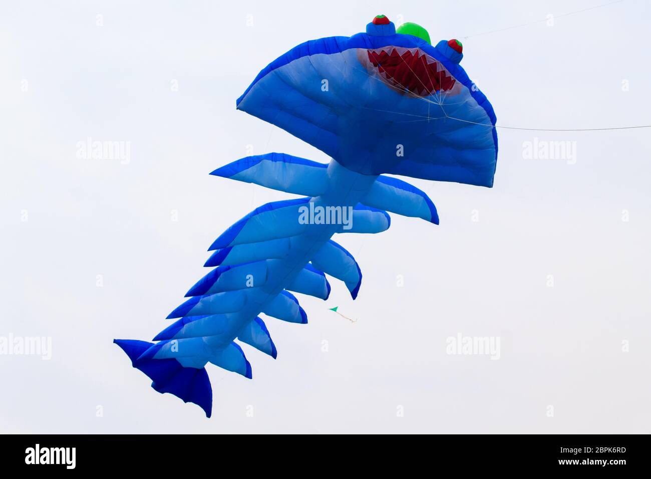 Blue kite that is flying. Blue fish kite Stock Photo - Alamy