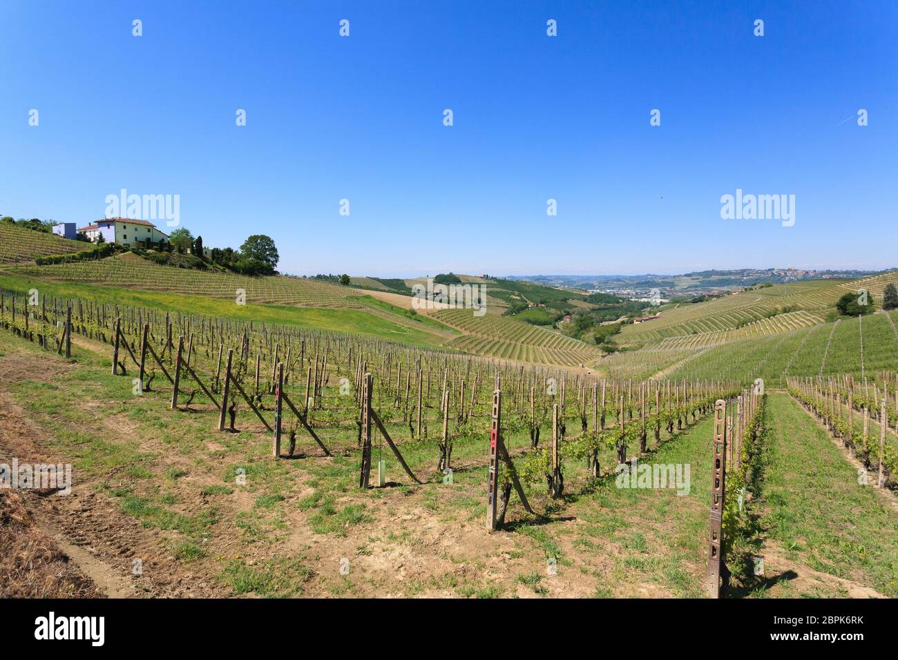 Beautiful Italian landscape. Vineyards from Langhe region,Italy ...