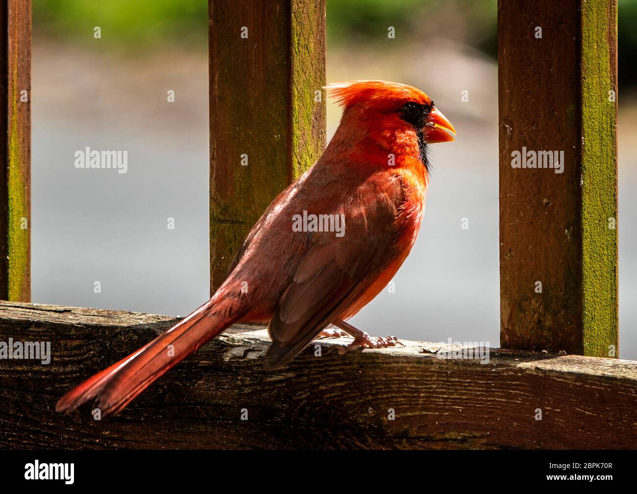 Looking through the gap Stock Photo - Alamy