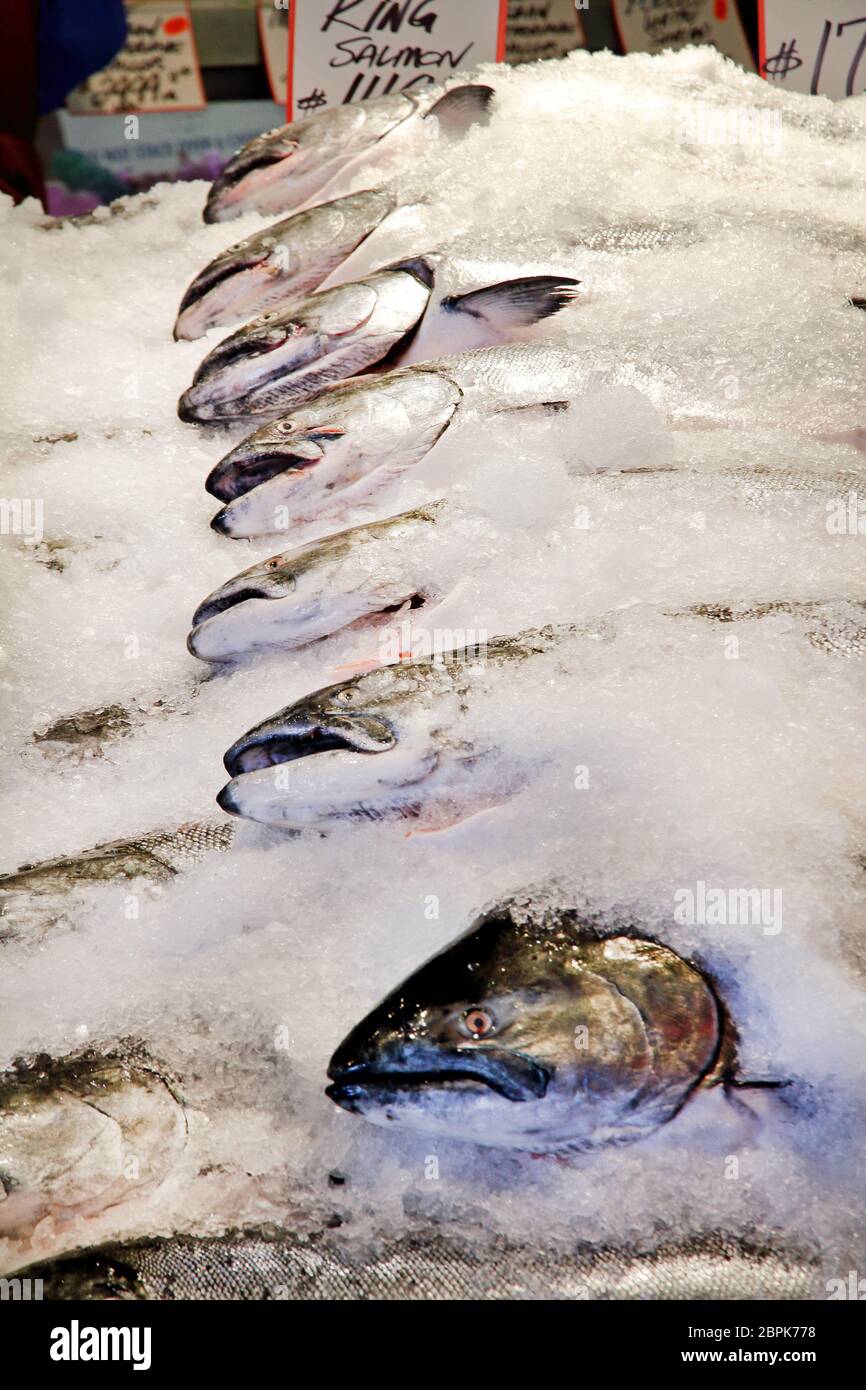 Whole Salmon Fish Shop Display High Resolution Stock Photography and ...