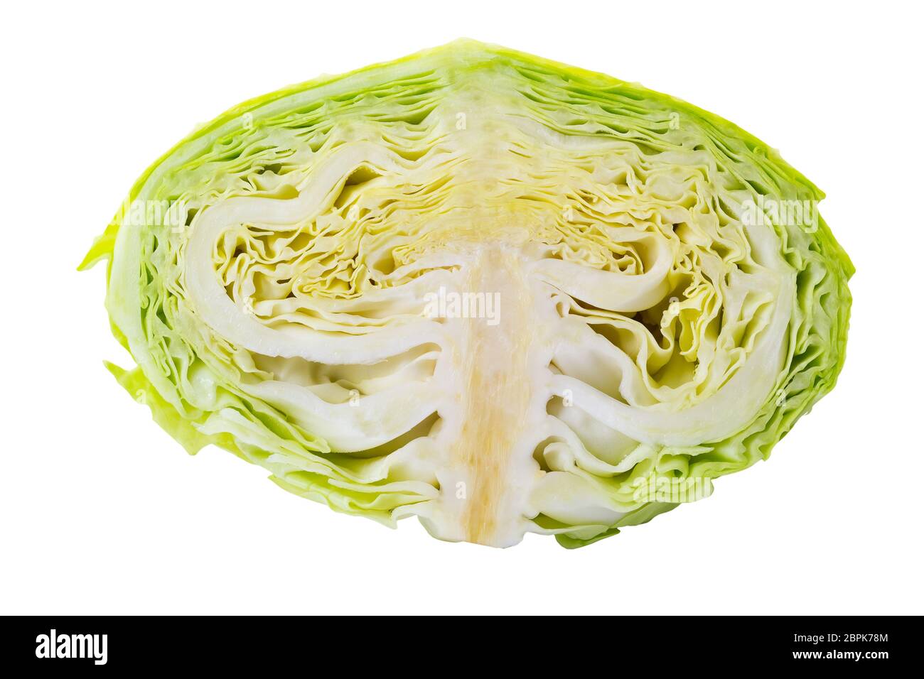 Cross-section cut of cabbage isolated on white background, clipping ...