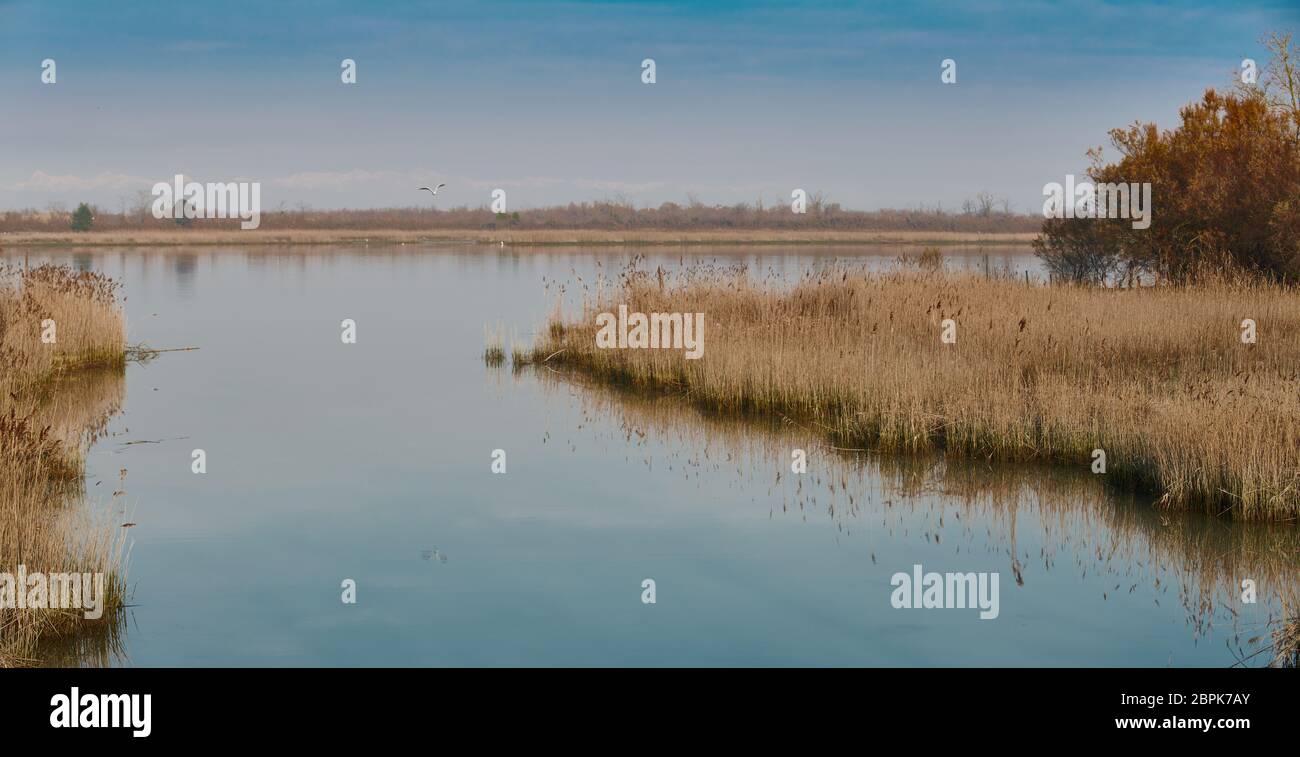 Blue sea of the lagoon of Caorle in Venice in Italy in the middle of ...