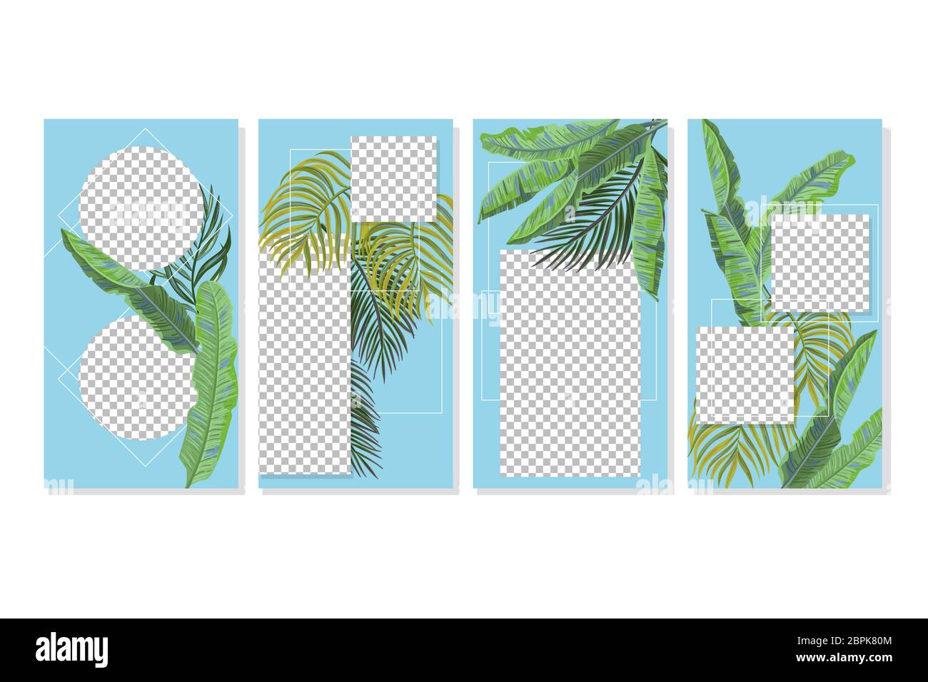 Vector set of banner templates with luxury tropical leaves Stock Vector ...