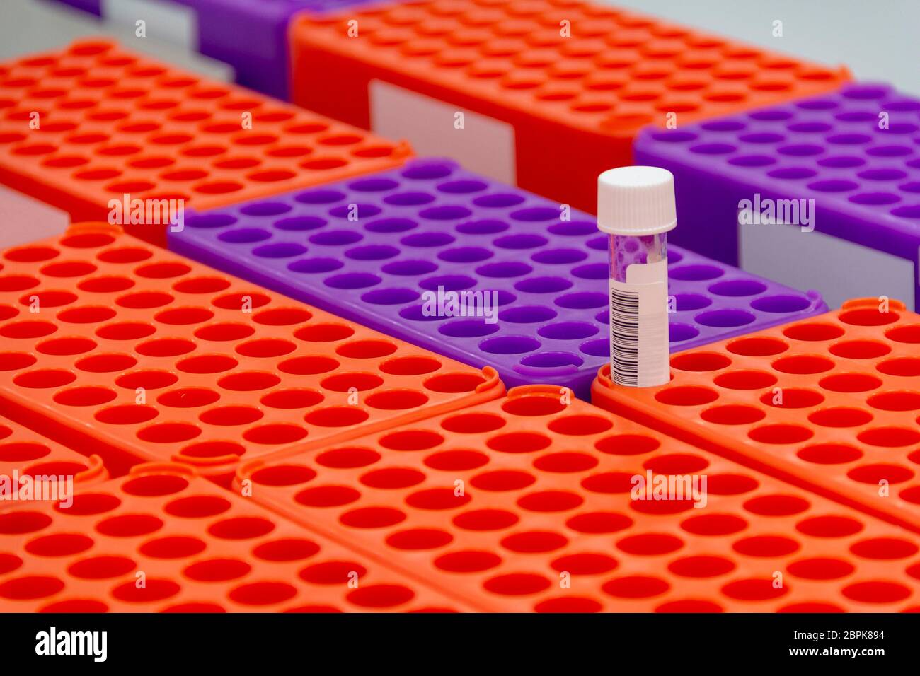 closeup shot of medical sample racks Stock Photo - Alamy